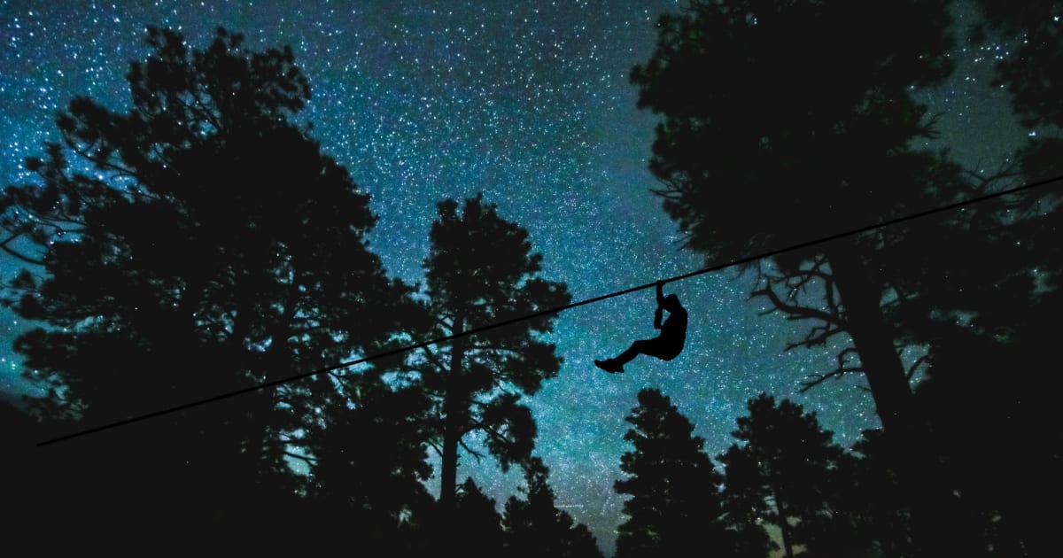 Tree adventure course | Discovery | 8 years and over - Treetop ...