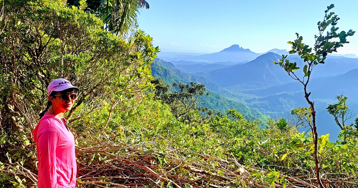 Guided Hike at Piton de la Petite Rivière Noire in the Black River ...