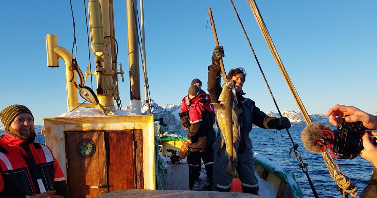 Fishing Trip in the Lofoten Archipelago from Svolvær | Manawa
