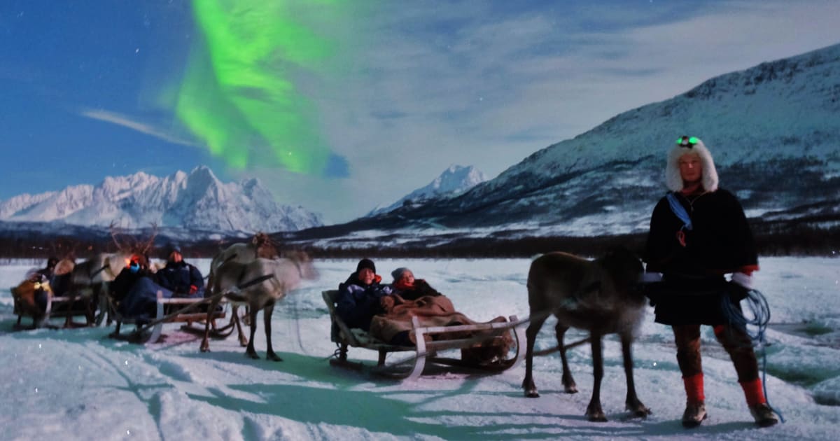 Northern Lights Reindeer Sledding Excursion from Tromsø | Manawa