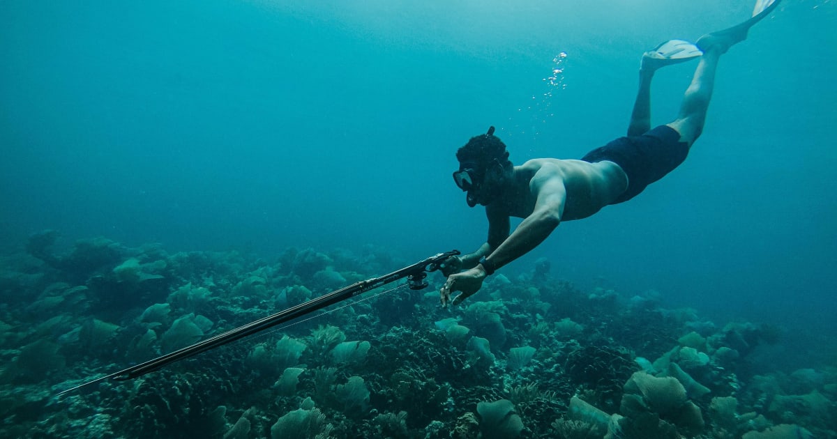 Discover Underwater Fishing in São Miguel, Azores | Manawa