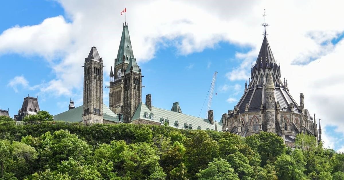 Book with Lady Dive Ottawa on Manawa | Manawa