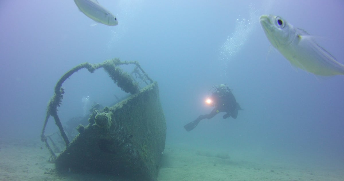 Book with OCEAN TREK DIVE CLUB on Manawa | Manawa