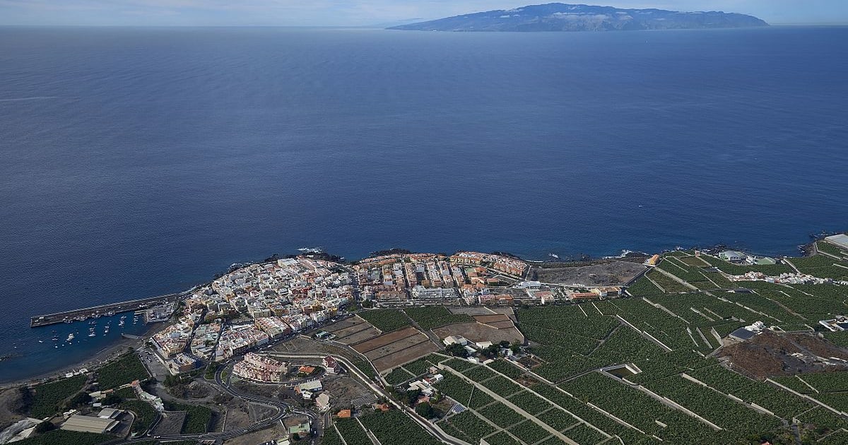 The best Fishing activities in Playa San Juan, Tenerife | Manawa