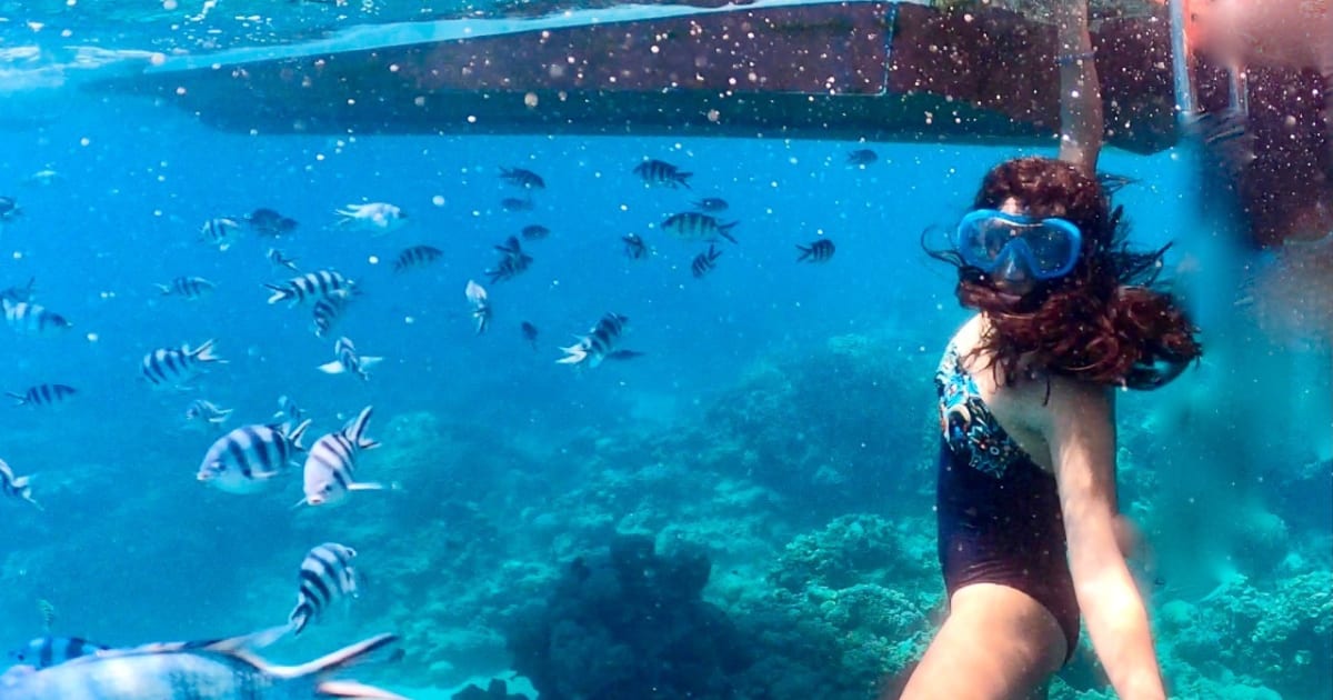 Schnorchelausflug um Tamarin Bay | Manawa