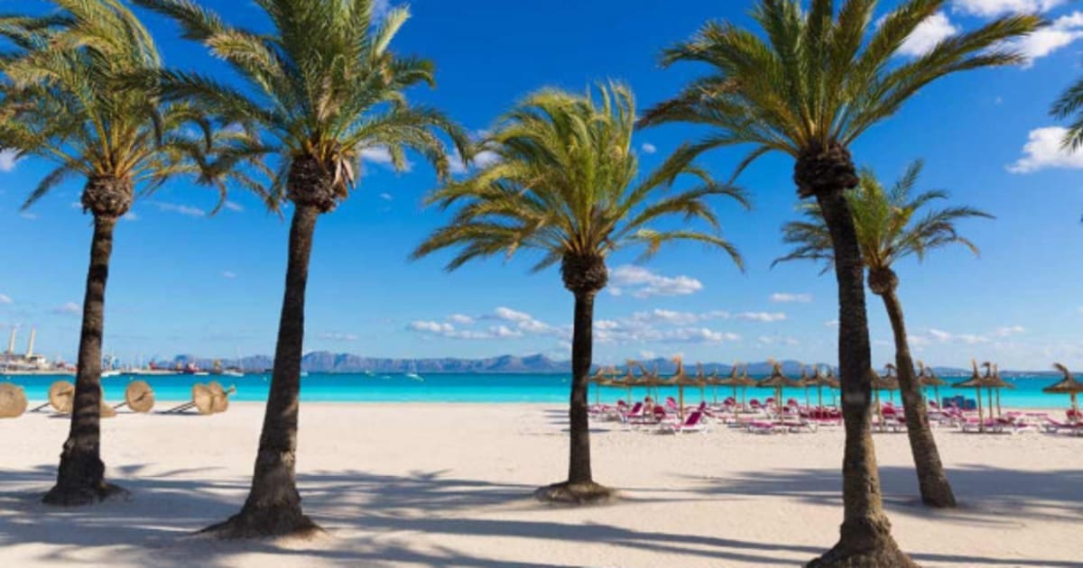 The best Sightseeing Tours activities in Alcudia, Mallorca | Manawa
