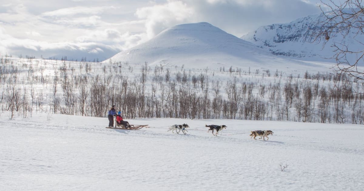 Where to Go Dog Sledding in Lapland? | Manawa