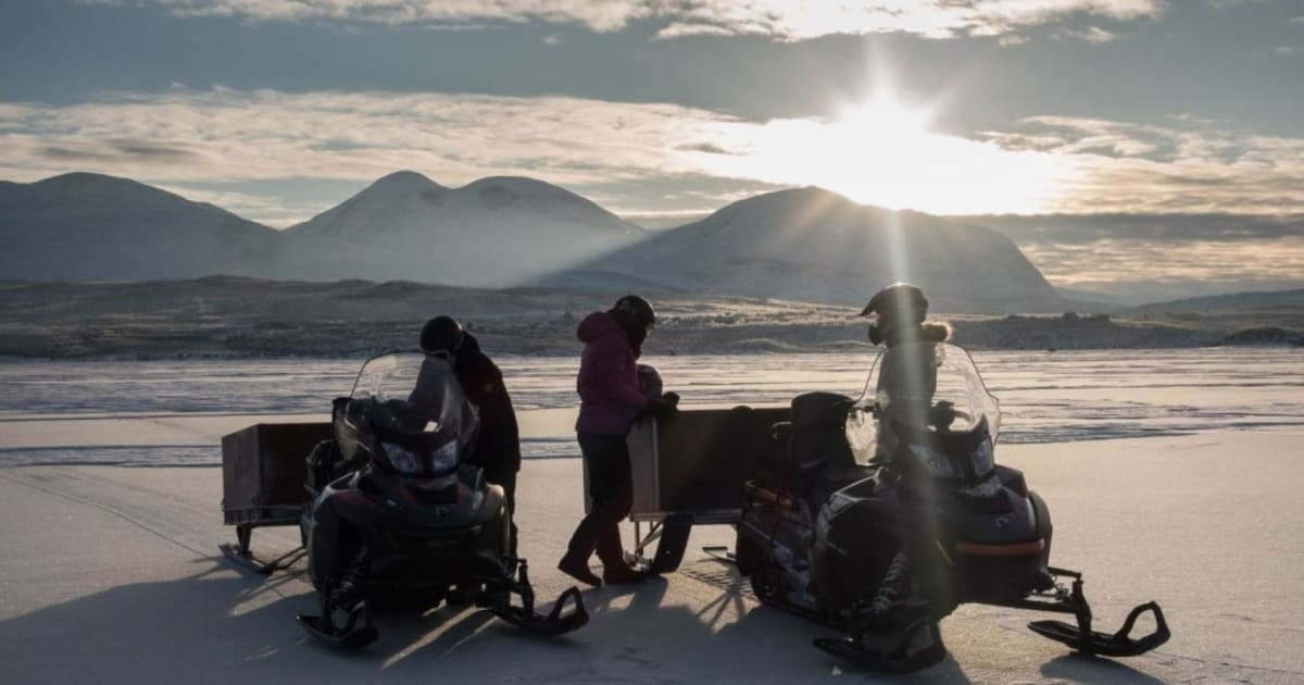 Snowmobile Sled Ride in Abisko National Park from Abisko | Manawa