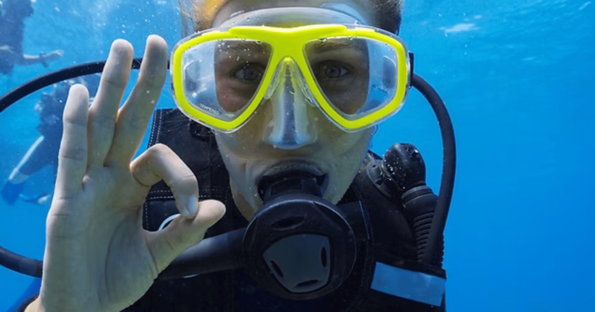 Book with Ocean View Diving on Manawa | Manawa