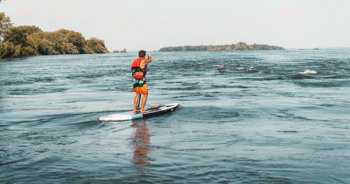 How to Become a Partner and Promote Your Activities on Manawa | Manawa