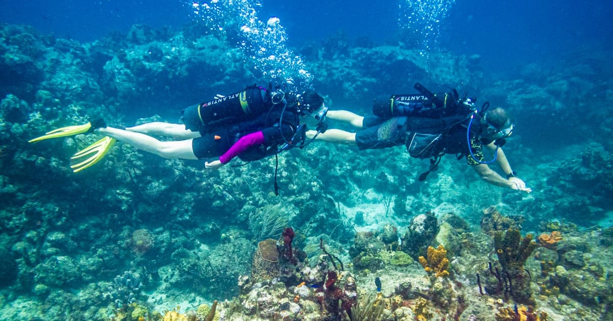 The best dive sites in Guadeloupe | Manawa