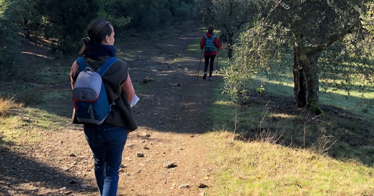 Hiking Tour and Wine Tasting near Florence | Manawa