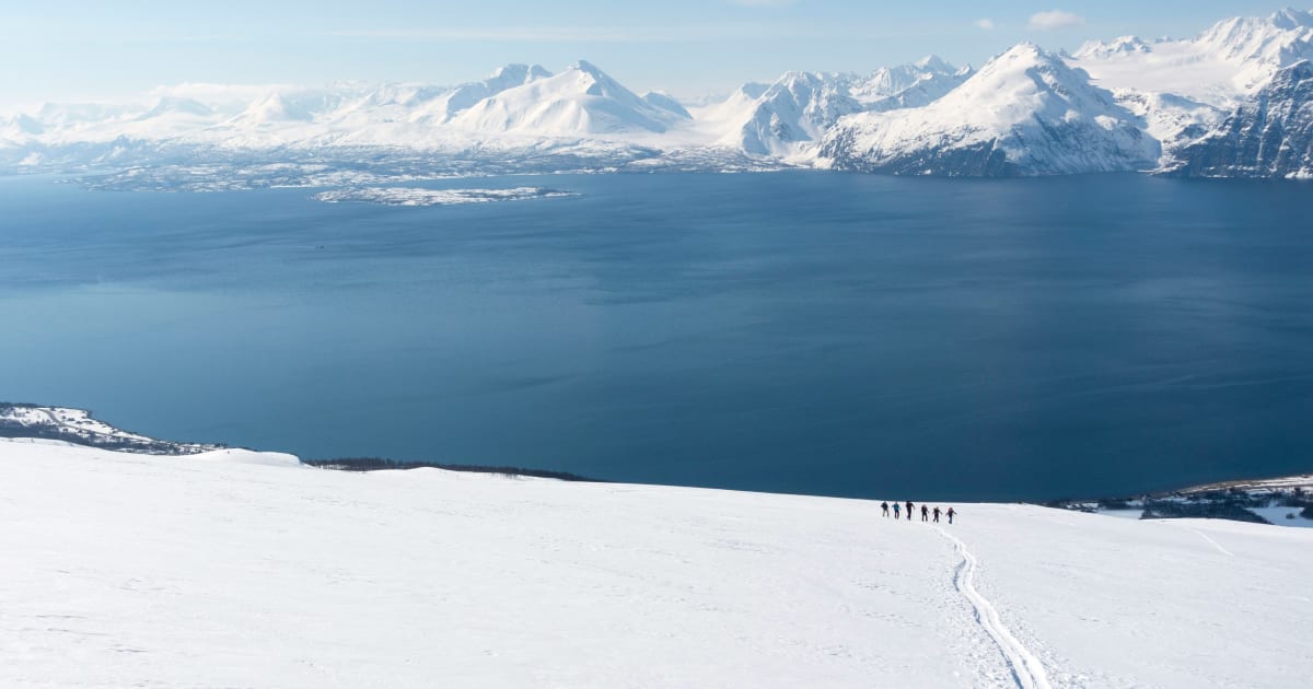 The best Boat Tours activities in Lyngen Alps | Manawa