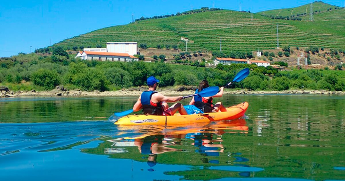 Kayak de mer dans la vallée du Douro et visite d’un vignoble depuis ...