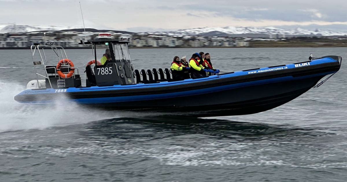 1 hour RIB Boat excursion in Reykjavik | Private excursion - RIB Boat ...