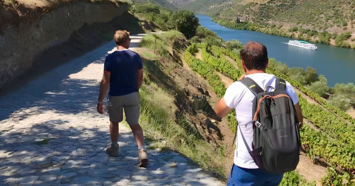 Hiking route through the Douro Valley from Pinhão | Manawa