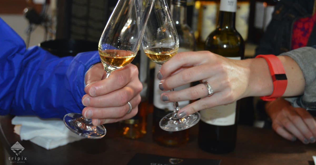 Full-Day Wine Tasting Tour around Ilha do Pico, Azores | Manawa