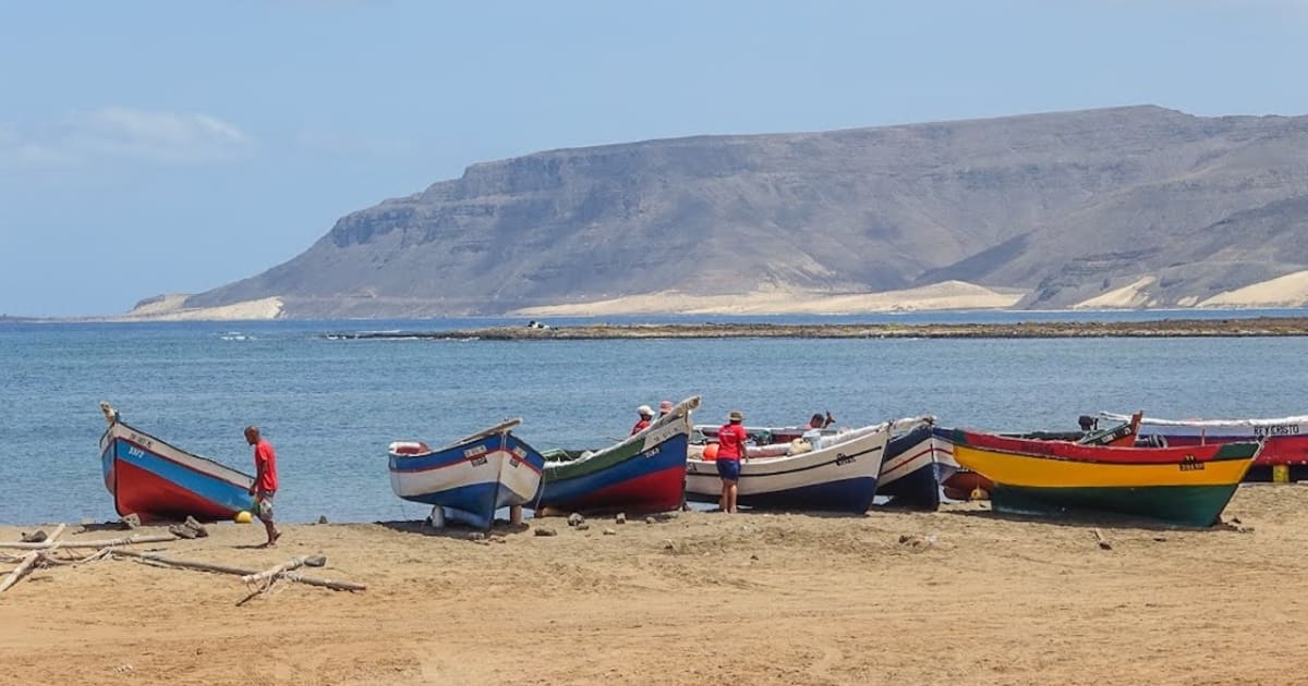 Book with Green Line Tours on Manawa | Manawa