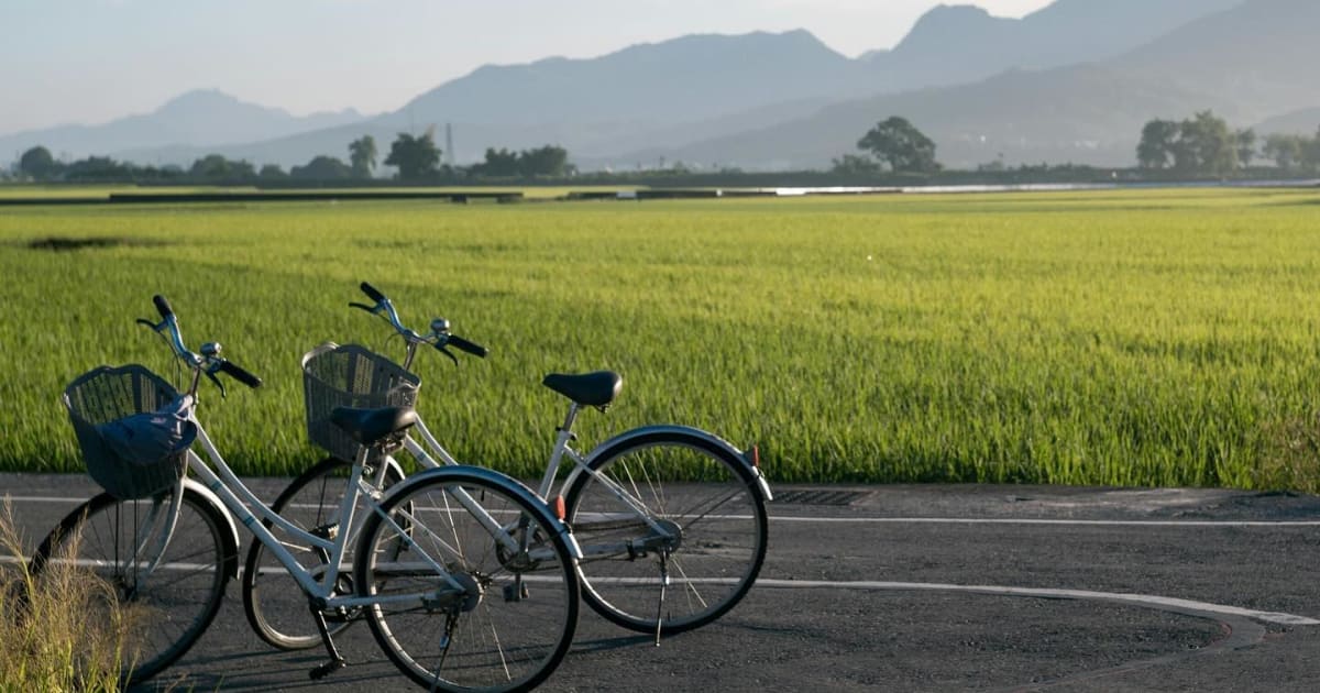 Adult Electric Bike Rental (S-M-L) | 3 hours - Bike Rental in Annecy ...