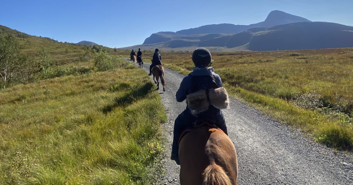 Horseback Riding Tour in Måslia Seter from Ørskogfjellet near Ålesund ...