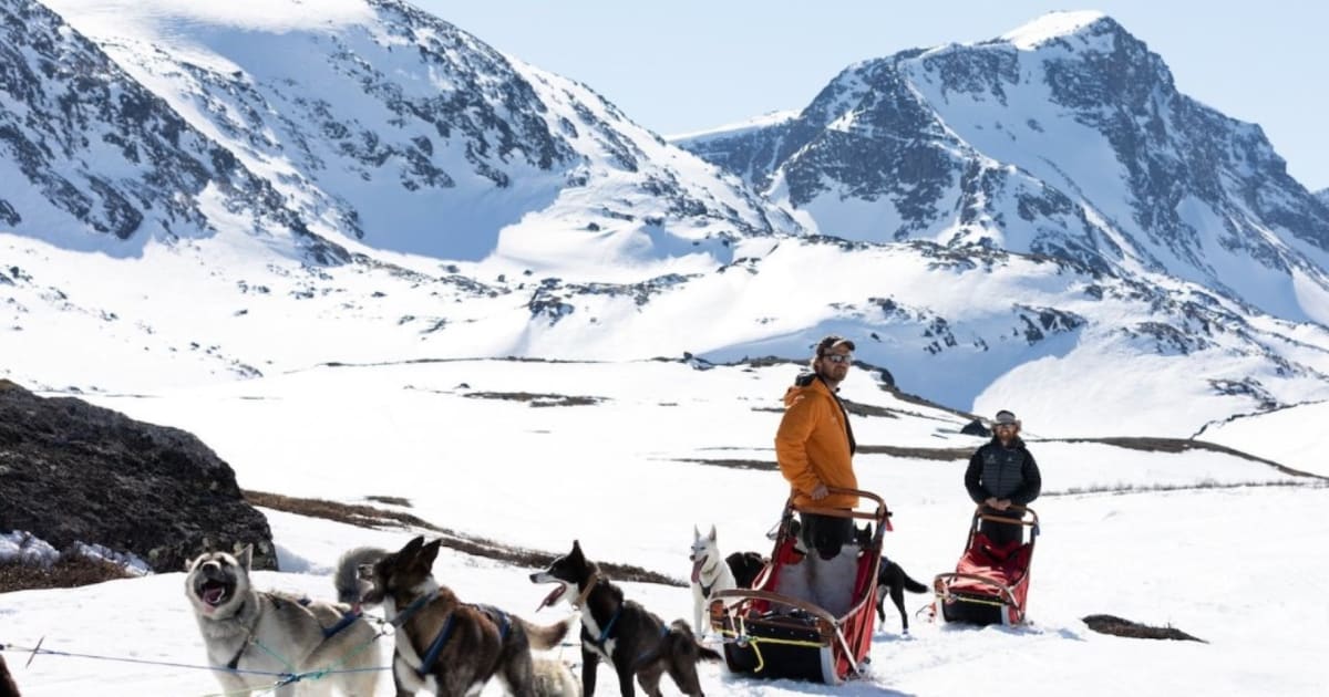 Self-Drive Dog Sledding Safari near Jotunheimen National Park from ...