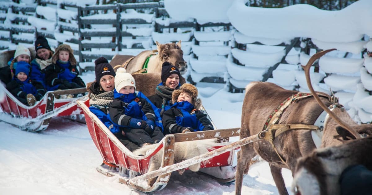 Promenade en traîneau à rennes depuis Rovaniemi | Manawa