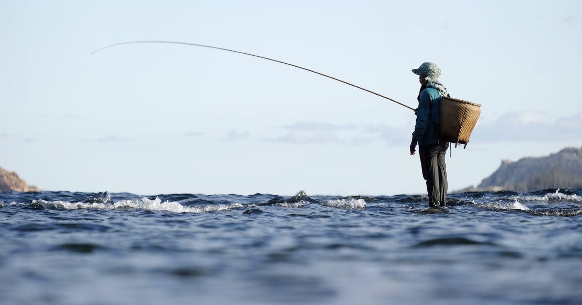 The best Fishing activities | Manawa