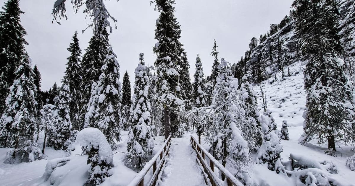 Hiking Excursion in Korouma Canyon from Rovaniemi | Manawa