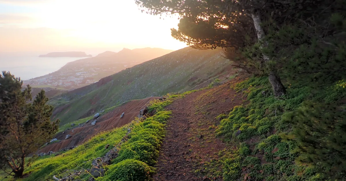 Excursión guiada al Pico do Facho en Porto Santo, Madeira | Manawa