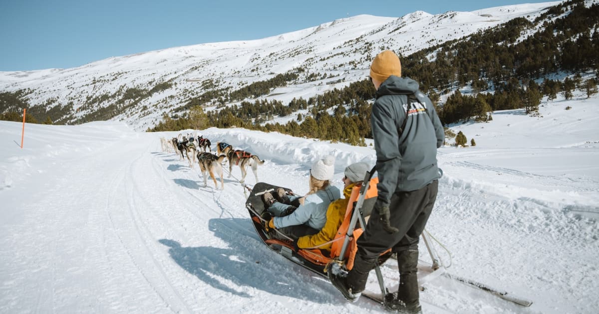 Winter Adventure: Dog Sledding and Snowmobile Ride in Grandvalira ...