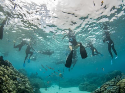The 10 Best outdoor activities in Rangiroa | Manawa