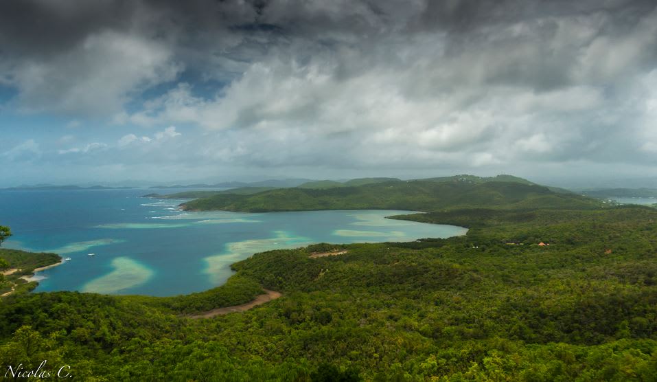 Martinique: the best outdoor spots | Manawa