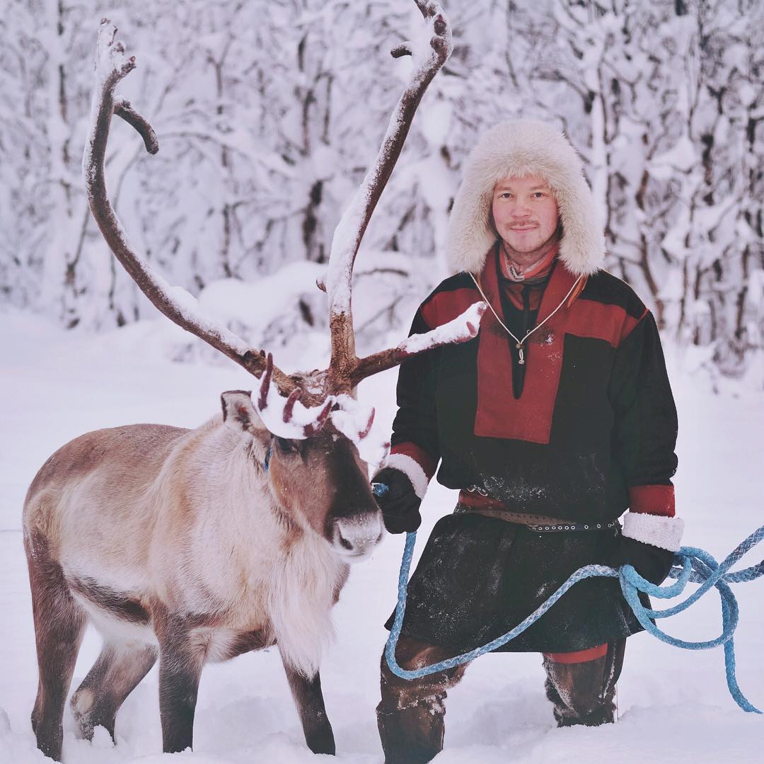 Reindeer Sledding and Sámi Cultural Experience from Tromsø | Manawa