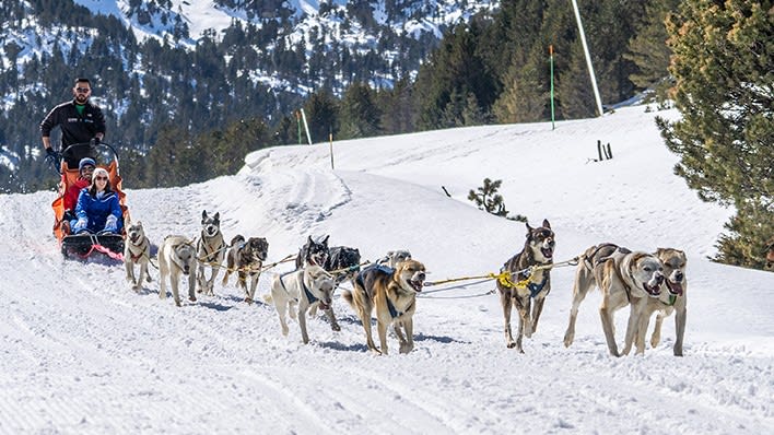Dog sledding tour from Grau Roig, Grandvalira, Andorra | Manawa