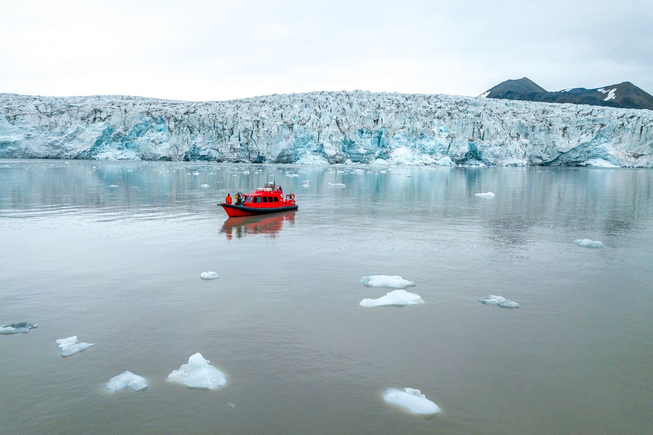 Fjord and Bird Watching Boat Tour to the Nordenskiöld Glacier in ...