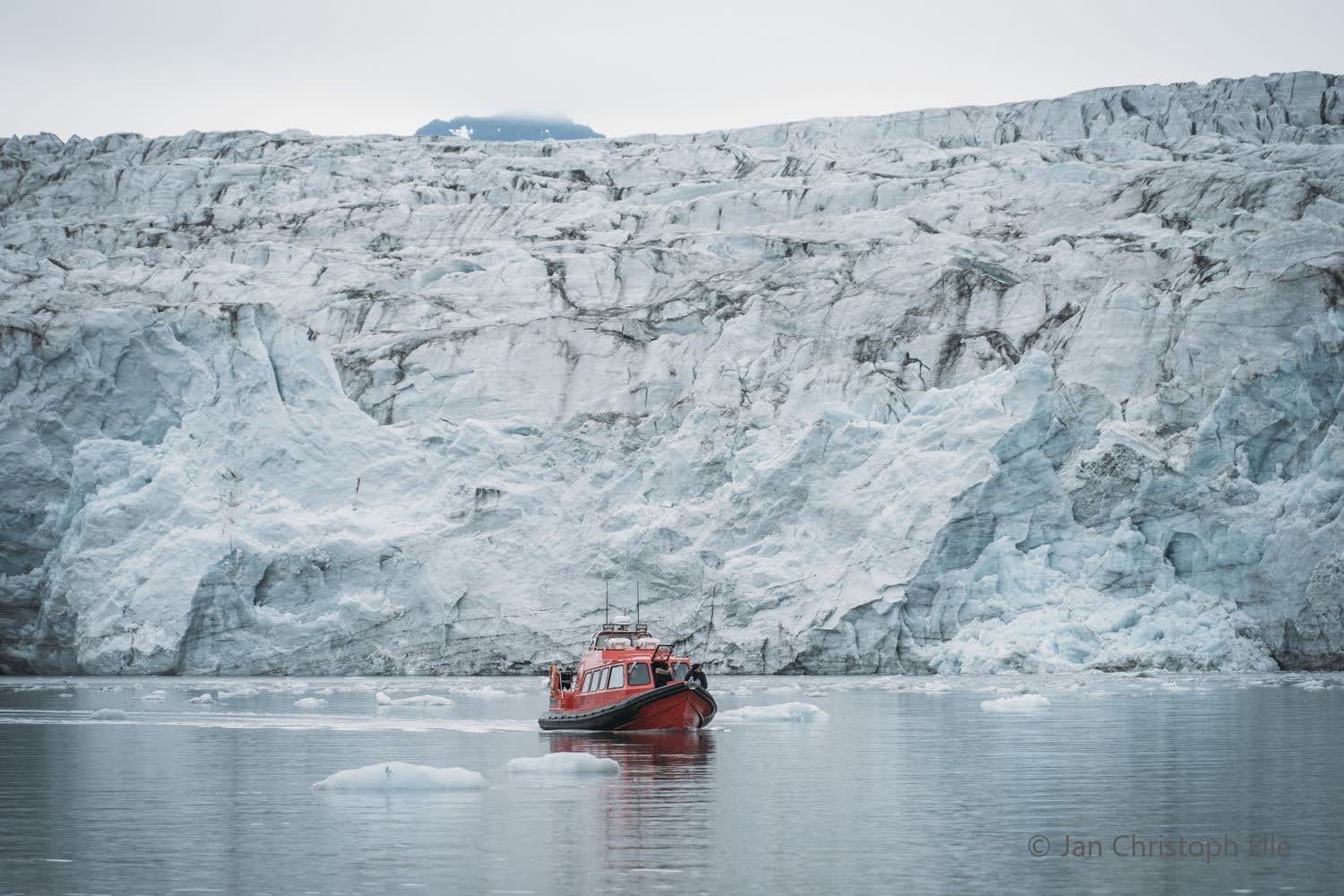 RIB Walrus Safari to Borebukta Bay from Longyearbyen in Svalbard | Manawa