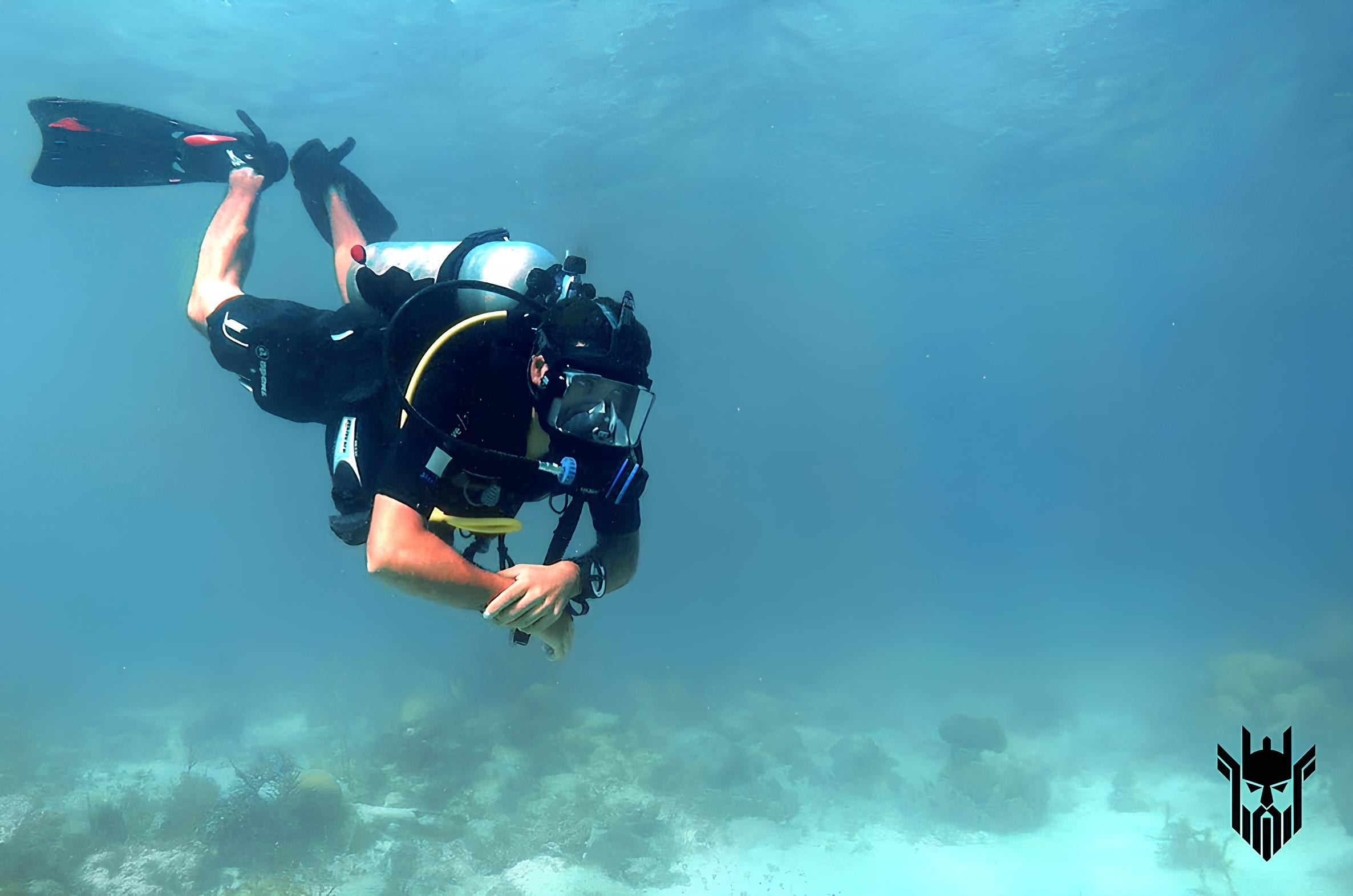 Scuba Diving for Certified Divers | 1 dive - Scuba Diving for Certified ...