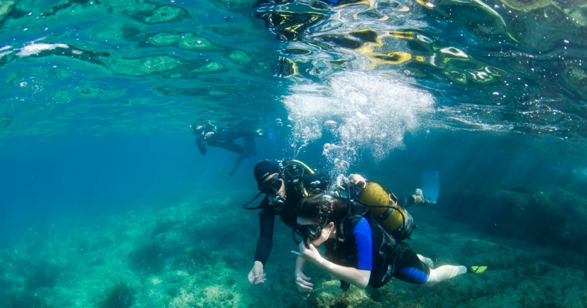 Guide complet de la plongée sous-marine | Manawa