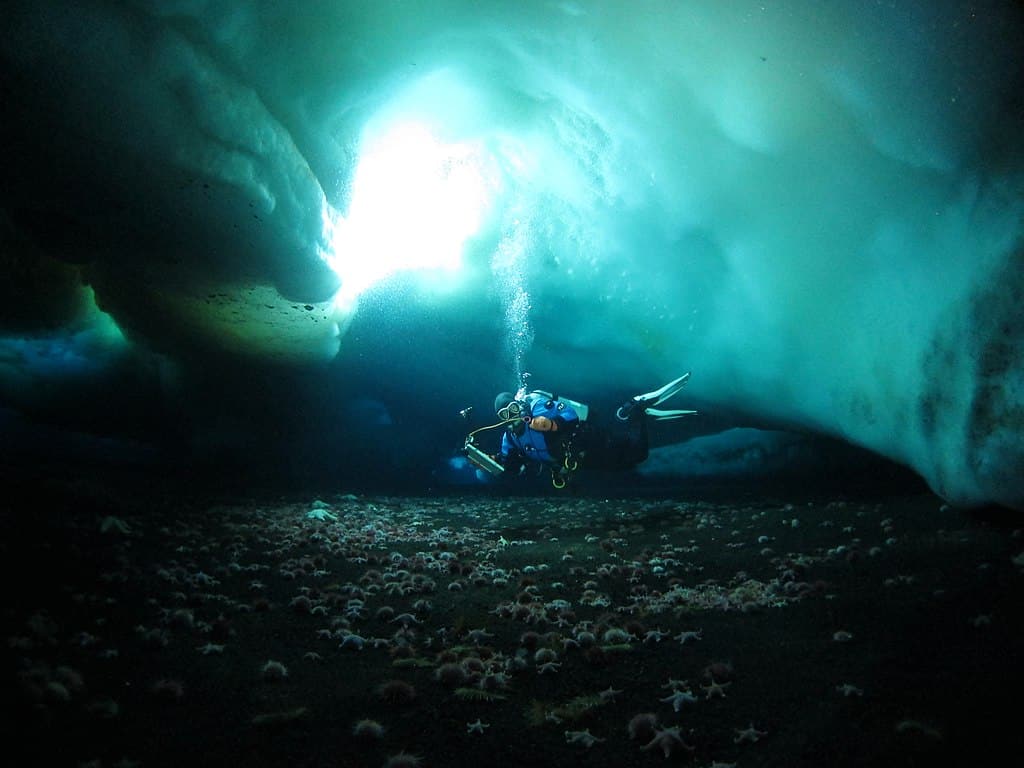 The Complete Guide to Ice Diving | Manawa