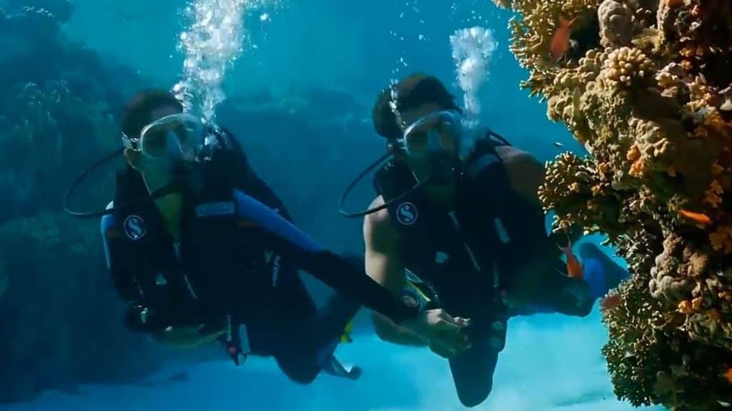 ZNMD Road Trip Itinerary For Adrenaline Hunters | Manawa