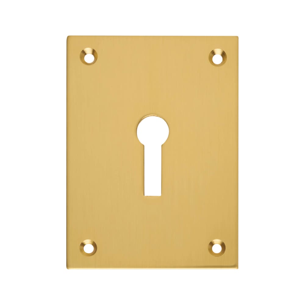 Jumbo Escutcheon - 65.5 x 47.6mm - Keyhole - Polished Brass ...