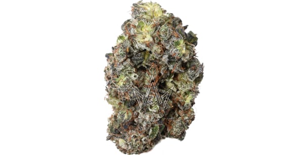 710 LABS - Donny Burger - 14g - San Diego, Vista & Imperial Cannabis ... 710 LABS - Donny Burger - 14g - San Diego, Vista & Imperial Cannabis ...