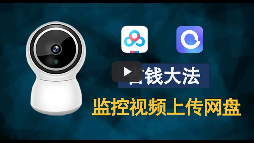 GitHub - topak47/CameraNVR