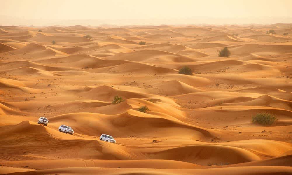 Evening Desert Safari-Pick up By 4x4