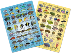 Marine Graphics | Fish ID & Marine Life Slates and Wallcharts