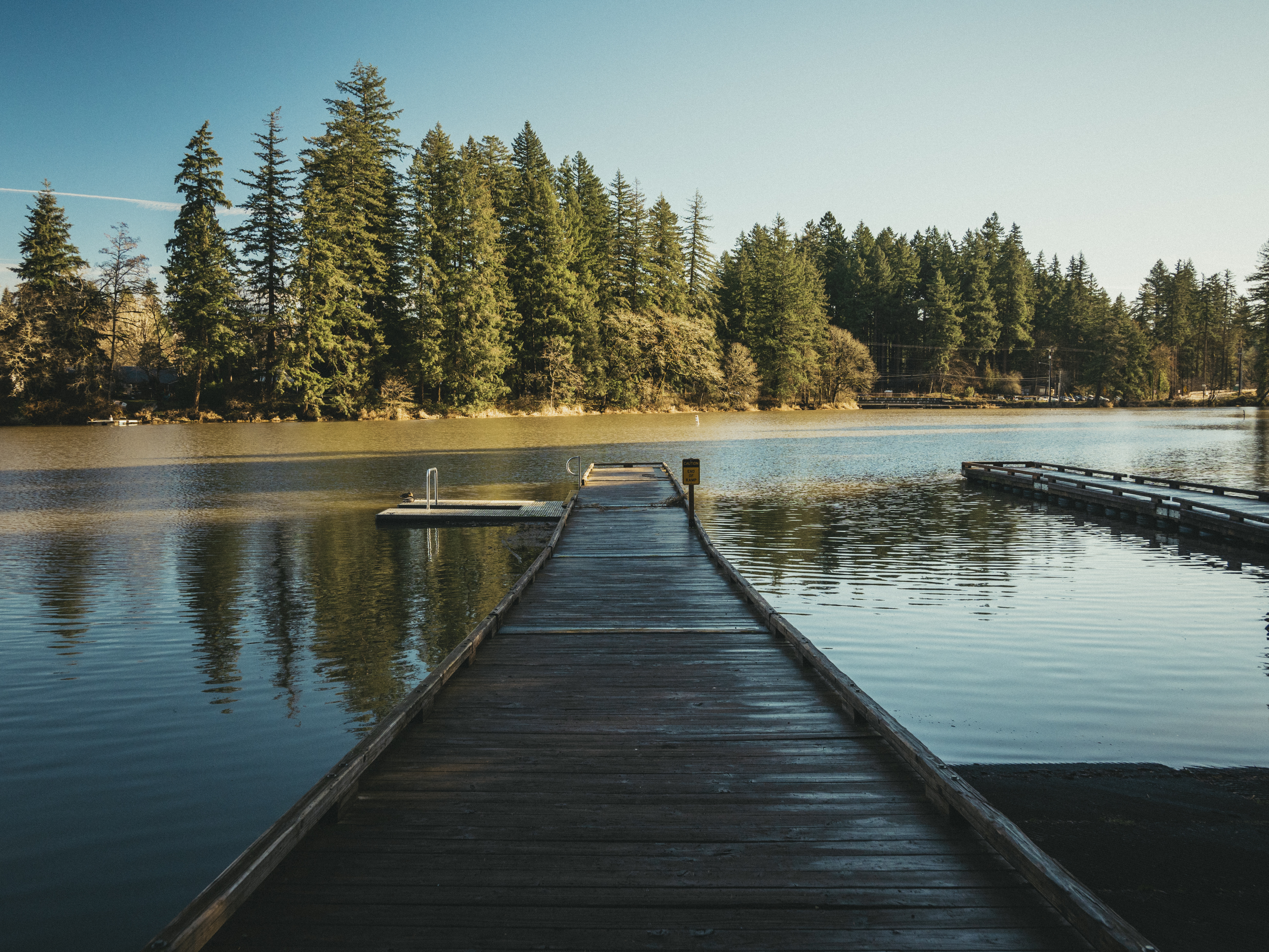 Picture: By the Shores of Lacamas Lake | Jared White