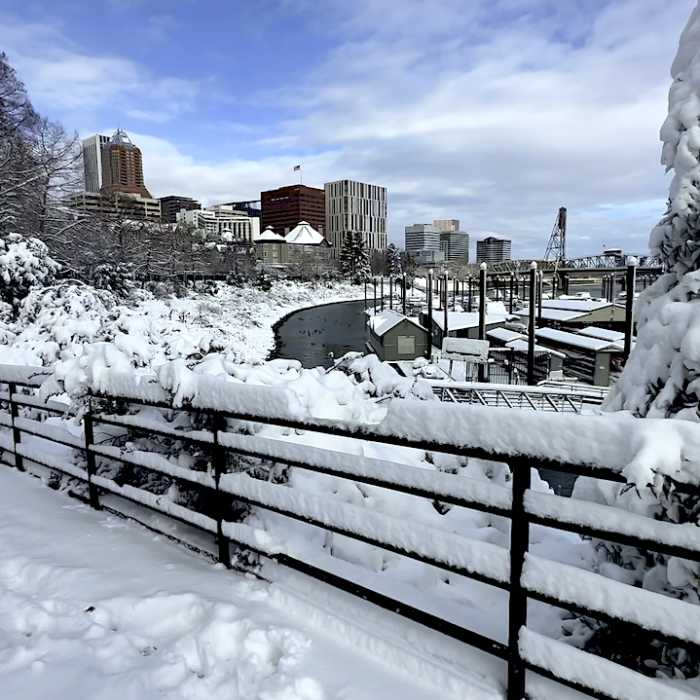 Video: Portland Snowpocalypse in 4K HDR // Walkabout February 2023 ...