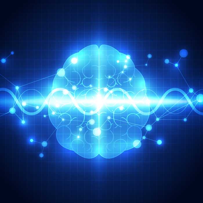 The Brain on Mindfulness: a Book Review of Mindsight by Dr. Daniel ...