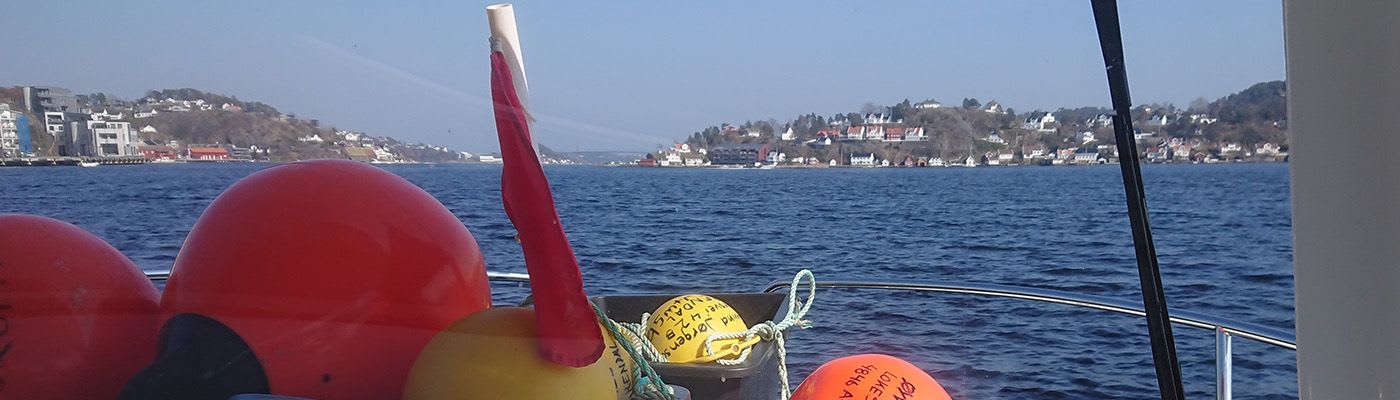 Merking av teiner og blåser