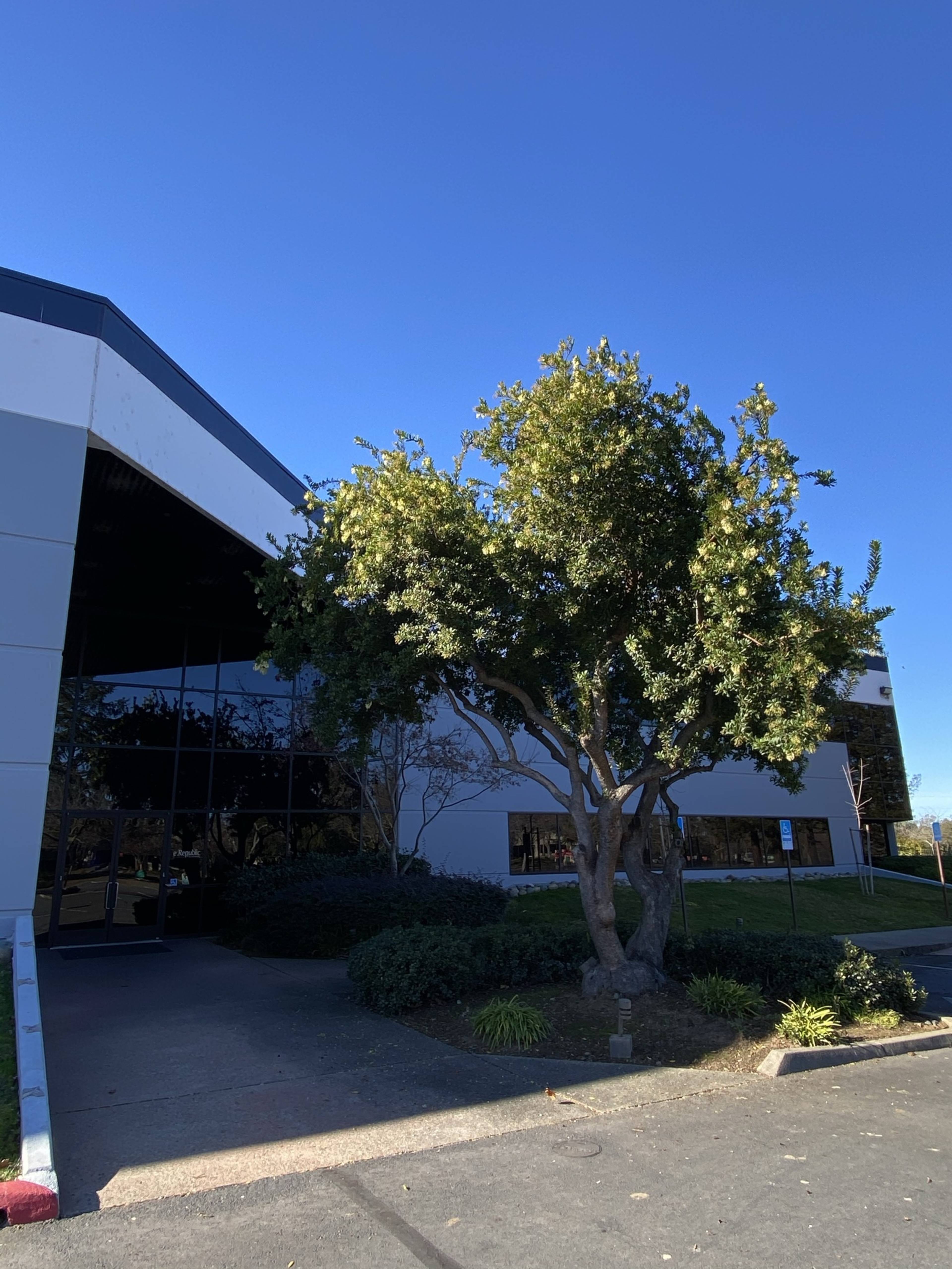 100 Blue Ravine Rd | JLL Properties - US